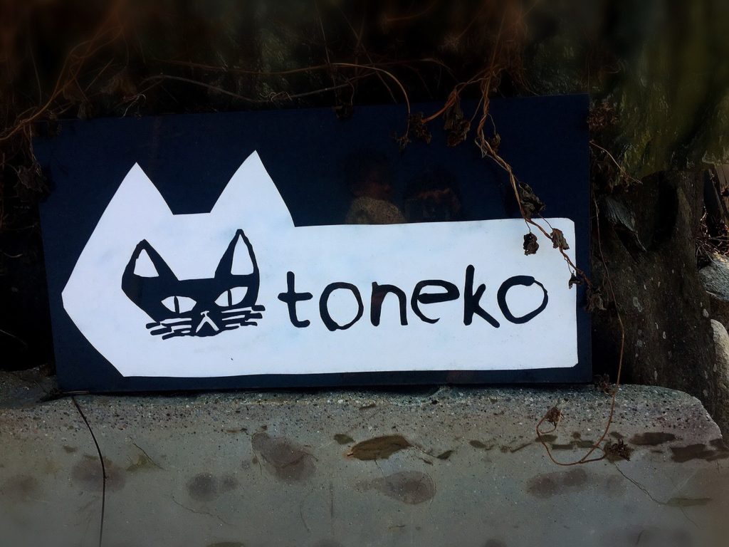 淡路島初のネコカフェ！？トネコ(toneko)突入レポ！ | 水辺を巡る冒険